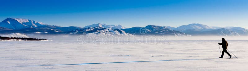 Cross-Country Skier Long Shadow Stock Image - Image of action, cold ...