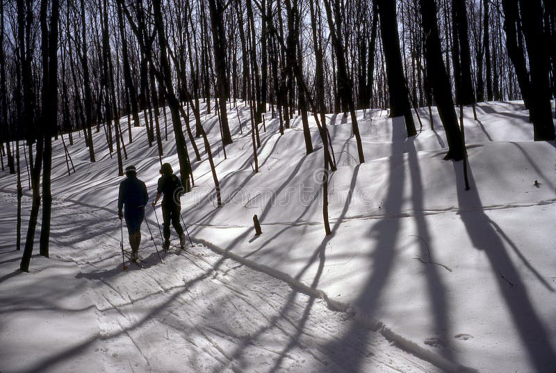 Cross country skiers editorial image. Image of snow, cross - 35955455