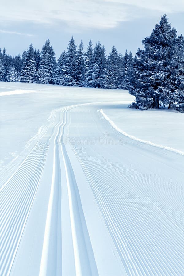 Cross Country Skiing Track stock image. Image of snow - 23360269