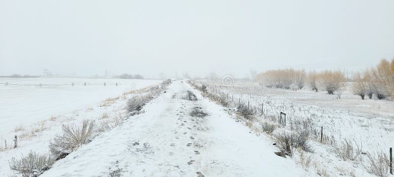 Cross Country Windy Spring Hike Stock Photo - Image of frost, white ...