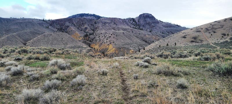 Cross Country Windy Spring Hike Stock Photo - Image of flower, ridge ...