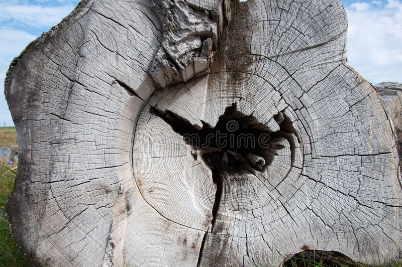 729 Dry Cracked Ground Cross Stock Photos - Free & Royalty-Free Stock ...