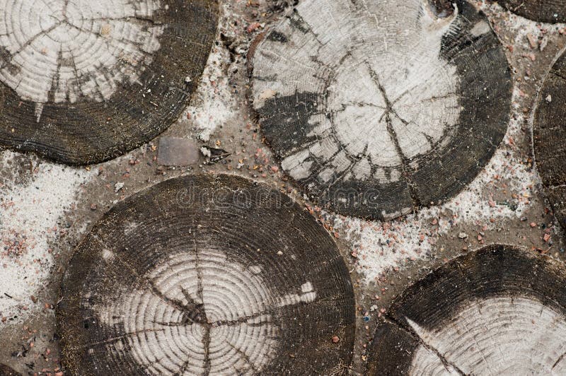 Cross Cut Trees Background, Stock Image - Image of firewood, detail ...