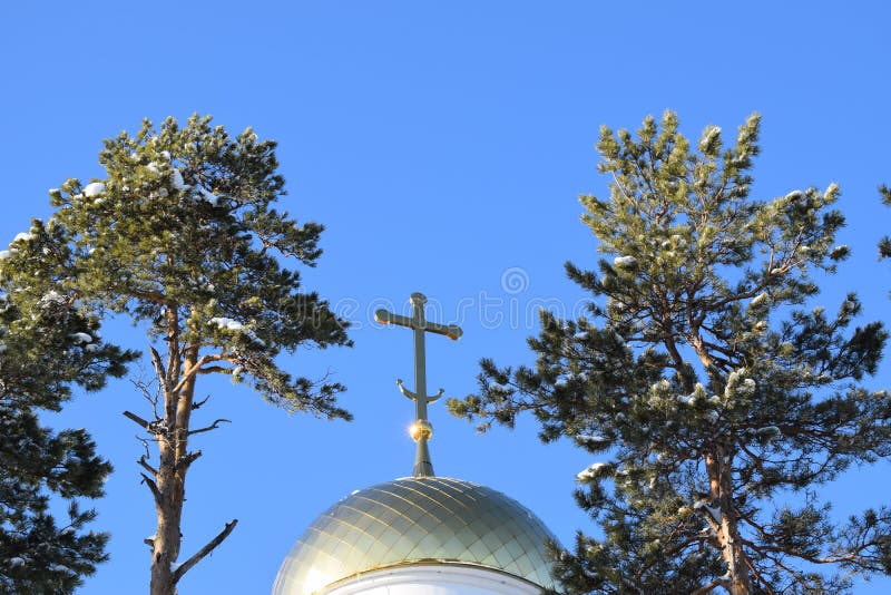 Cross on the Dome of the Church Surrounded by Trees Stock Photo - Image ...
