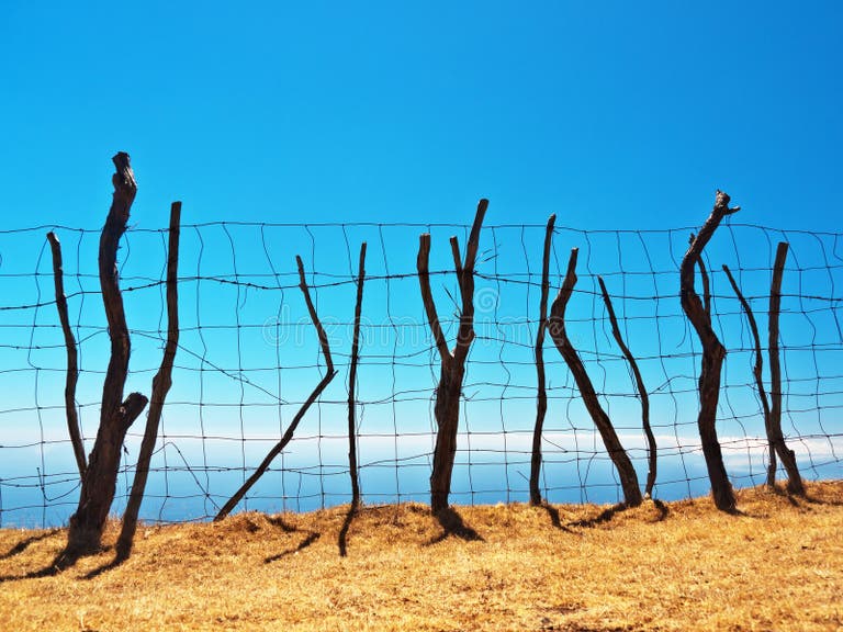 Cross fence stock photo. Image of link, cross, fence - 40642182