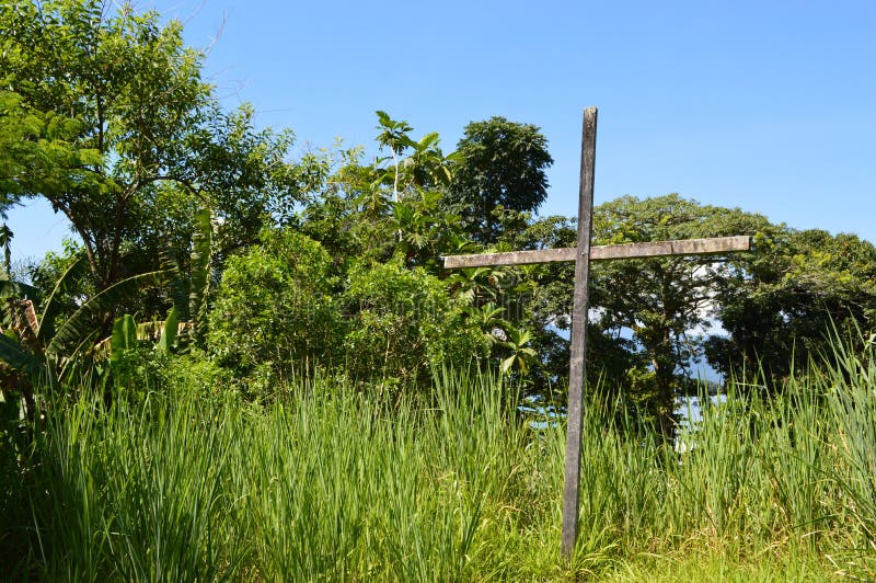 Cross in forest stock photo. Image of brazil, christ - 92403328