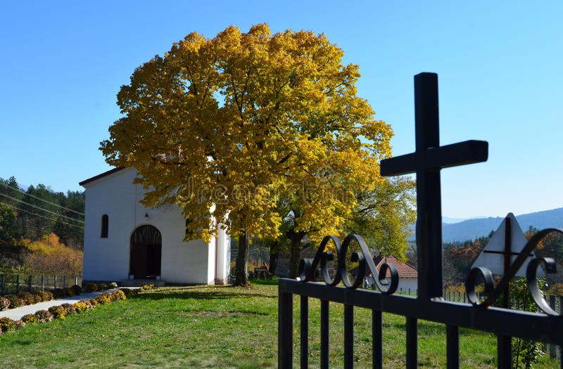 Cross on the Gate of an Old White Church and a Tree in Autumn Stock ...