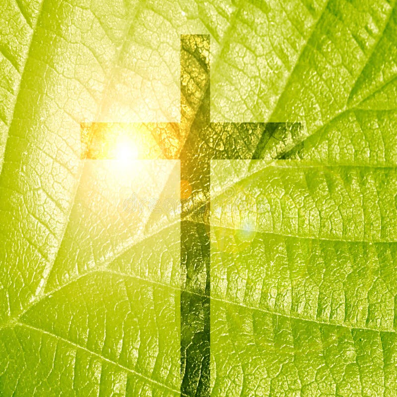 Cross stock illustration. Illustration of christian, church - 35687328