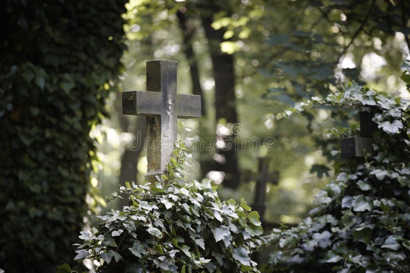 Visiting Graves in a Graveyard with Three Graves Sh Stock Photo - Image ...