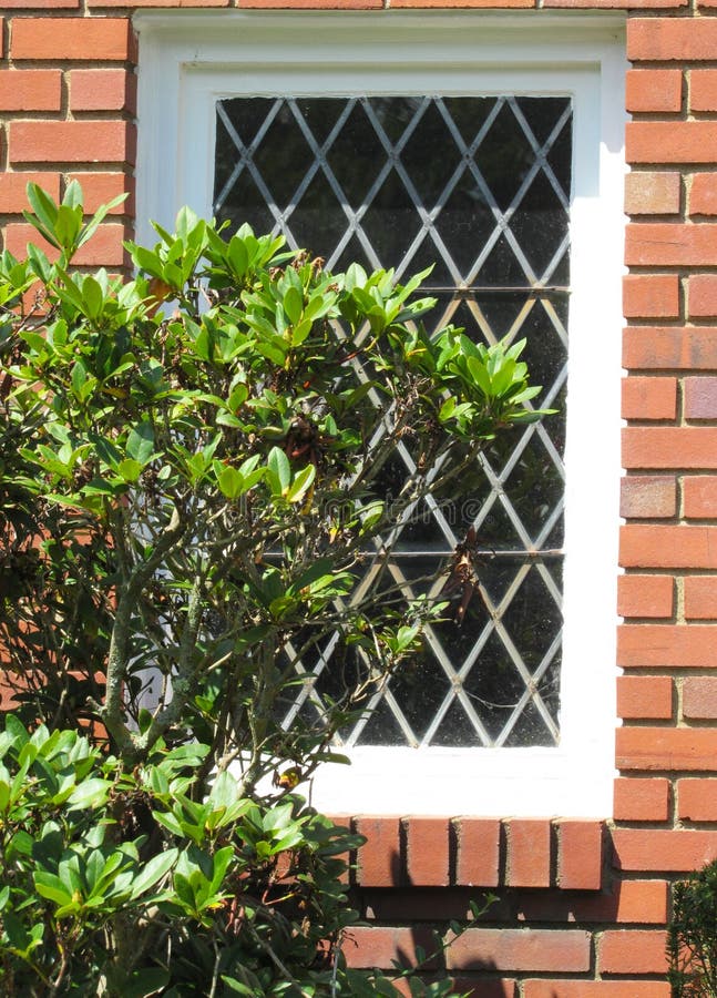 Cross-hatch window stock photo. Image of branch, tree - 254425354