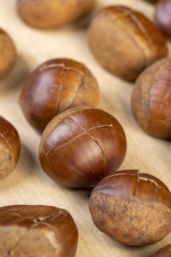 Cross Incised Chestnut Shell Cutting Shells Edible Nuts Baking Stock ...