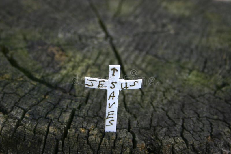 Cross in a log stock photo. Image of christian, evangelism - 1271606
