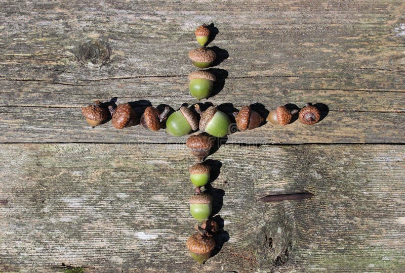 Cross Made of Acorns stock photo. Image of acorn, christian - 44175666