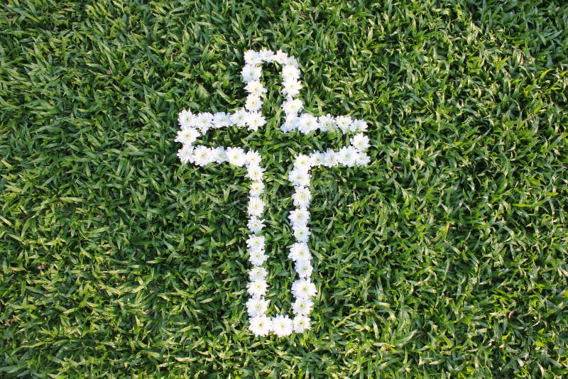 Cross Flowers Stock Photos - Download 15,701 Royalty Free Photos