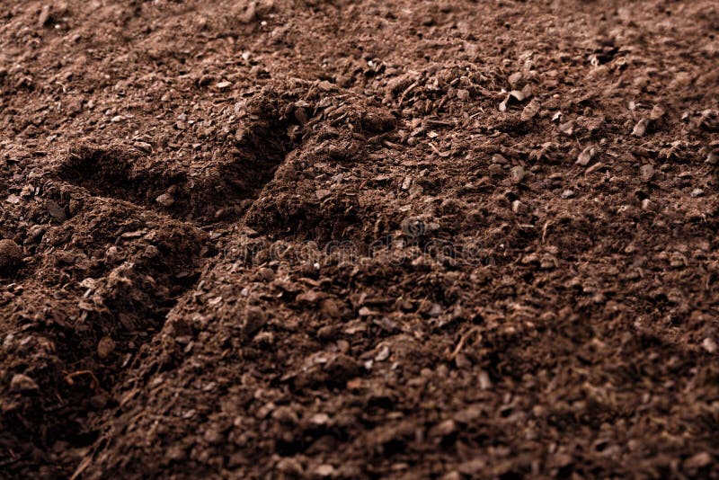 Cross Marked on the Ground Elevated View Stock Photo - Image of holy ...