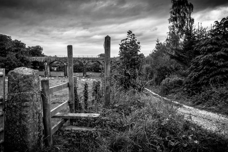 Cross over stock image. Image of river, train, stone - 81325523