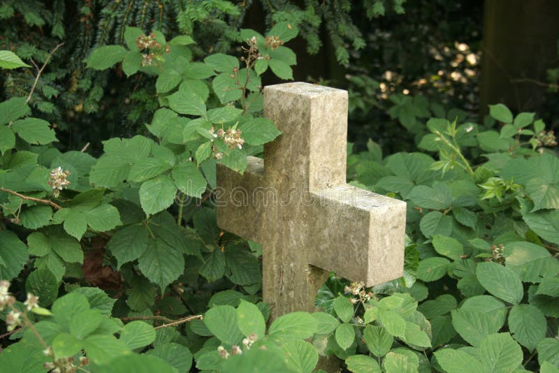 Cross Overgrown with Brambles Stock Photo - Image of death, granite: 993650