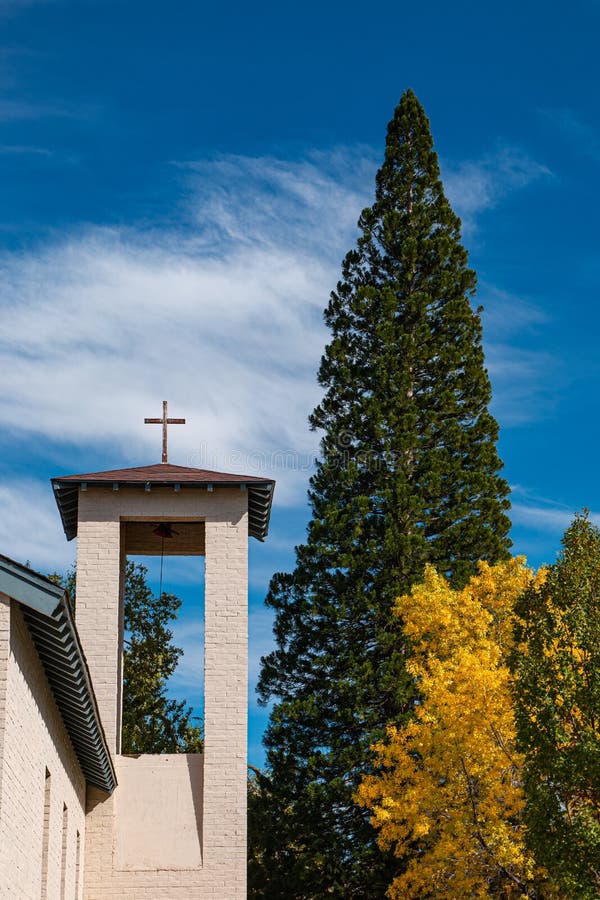 Cross and Pine Tree stock photo. Image of building, cross - 228899116