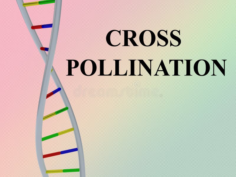 Cross Pollination Of Ideas