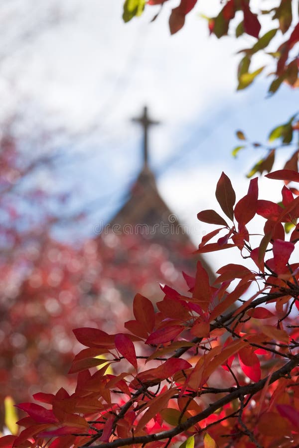 Cross through Red Autumn Leaves Stock Image - Image of tree, season ...