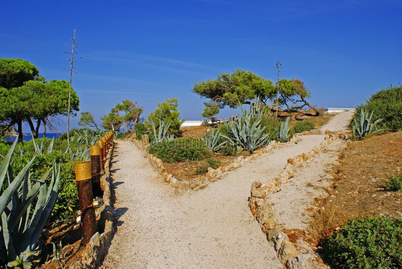 Cross road, pathway, park stock photo. Image of path - 26684902