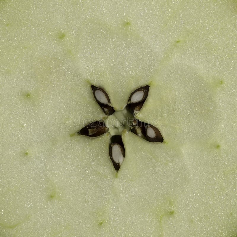 249 Apple Star Section Stock Photos - Free & Royalty-Free Stock Photos ...