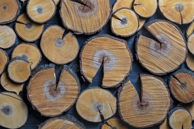 2,558 Cross Section Apple Stock Photos - Free & Royalty-Free Stock ...