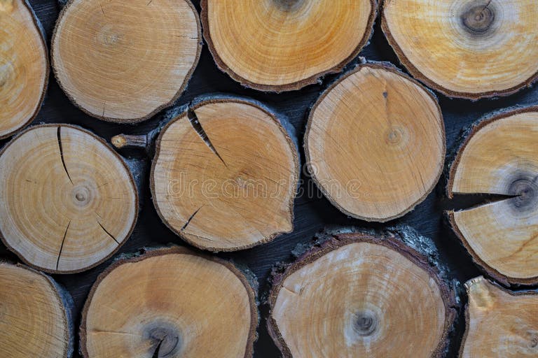 2,544 Cross Section Apple Stock Photos - Free & Royalty-Free Stock ...