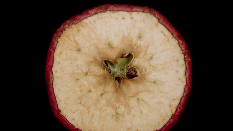 Cross Section of an Apple, Which Reveals Its Unique and Intriguing ...