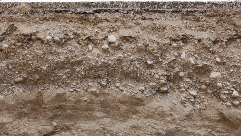 Dirt Road Cross Section