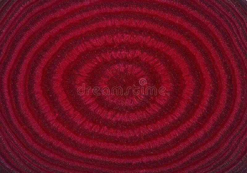Intricate Beetroot Cross Section Art Stock Photos - Free & Royalty-Free ...
