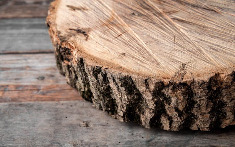 Cross Section of the Big Old Tree on a Rustic Table Stock Photo - Image ...