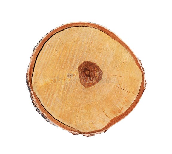 1,337 Birch Wood Section Texture Stock Photos - Free & Royalty-Free ...