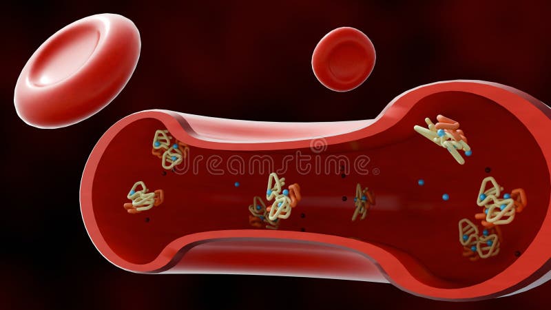 Cross-section of a Blood Vessel with the Components of Blood. Stock ...