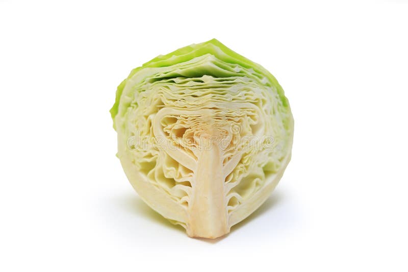 Cross Section Cabbage Cut Close-up Texture Layers on White Studio ...