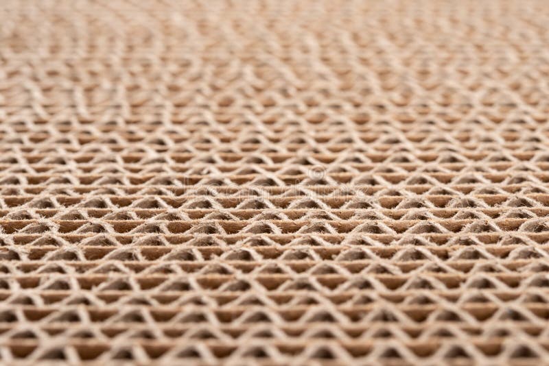 Cross Section of Cardboard Corrugated Pattern As Baskground & Texture ...