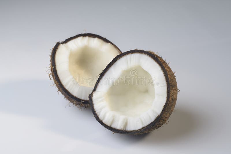 Cross Section Coconut Fruit Stock Photos - Download 452 Royalty Free Photos