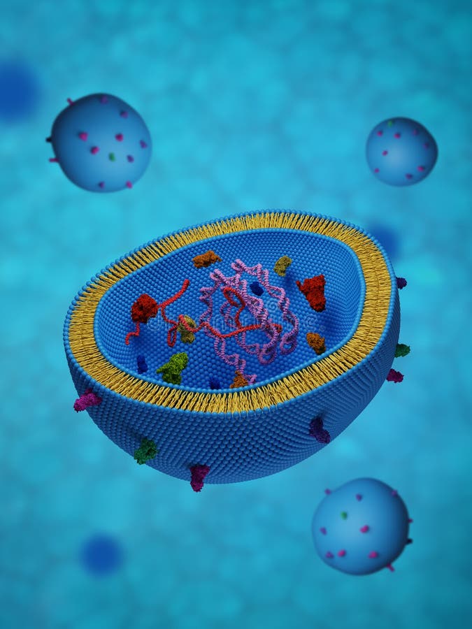 Exosome Stock Illustrations – 221 Exosome Stock Illustrations, Vectors ...