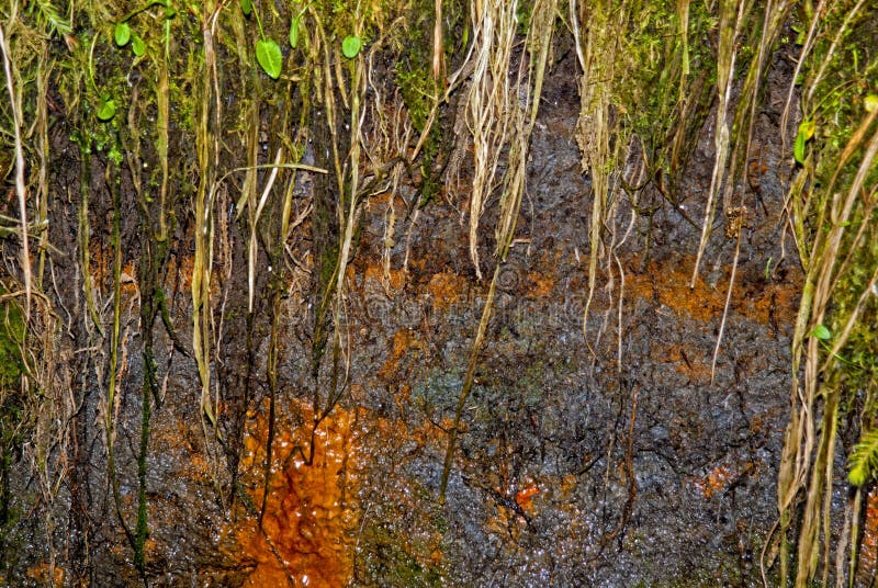 Cross Section through Ferrous Substrate Stock Photo - Image of ...