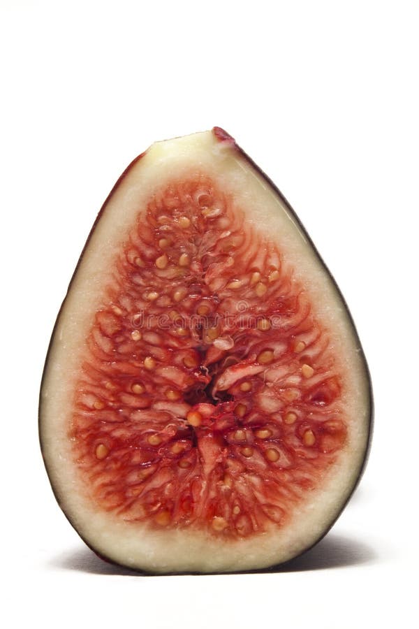 1,801 Fig Cross Stock Photos - Free & Royalty-Free Stock Photos from ...