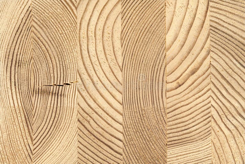 Cross-section of Glued Wooden Timber of Pine. Stock Photo - Image of ...