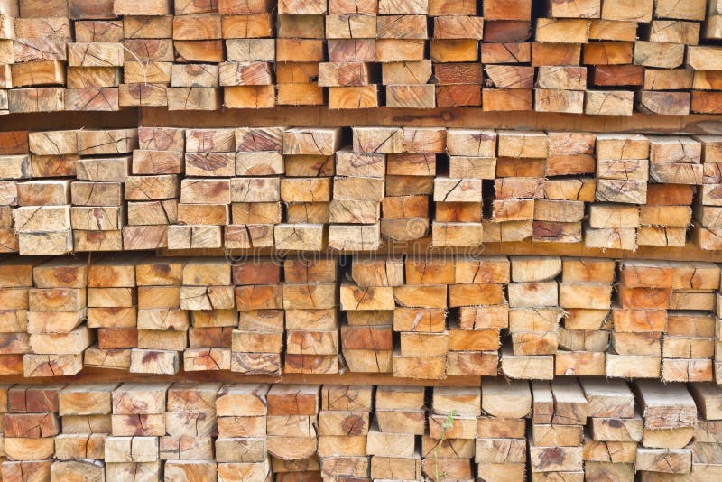 Cross section of hardwood stock image. Image of furniture - 26267899