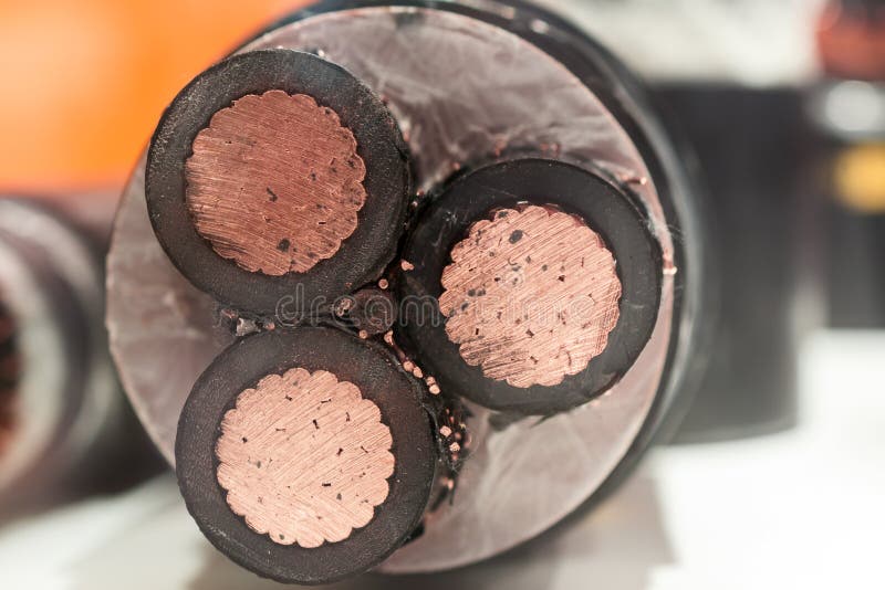 Cross Section of High-voltage Cable. Stock Photo - Image of industry ...