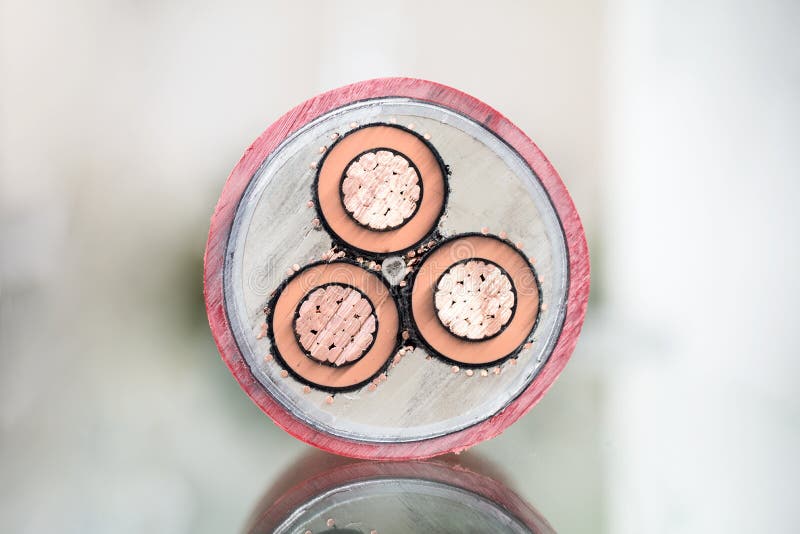 Cross Section of High-voltage Cable. Stock Photo - Image of insulator ...