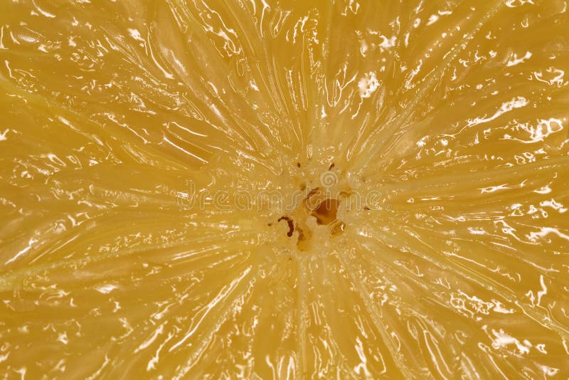 Cross Section of Lemon Close Up. Stock Image - Image of yellow, small ...