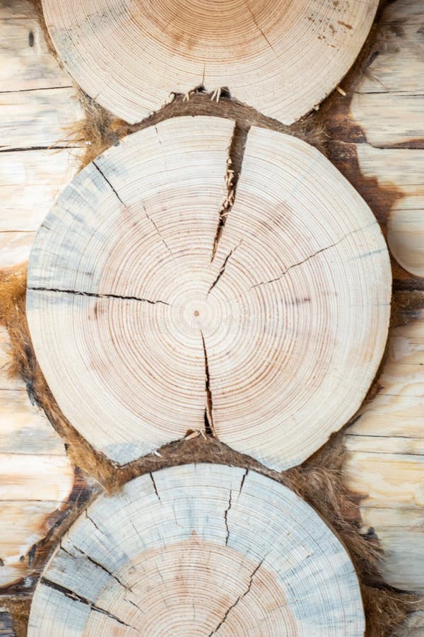 Cross Section of Logs on the Wall of a Wooden House Stock Image - Image ...