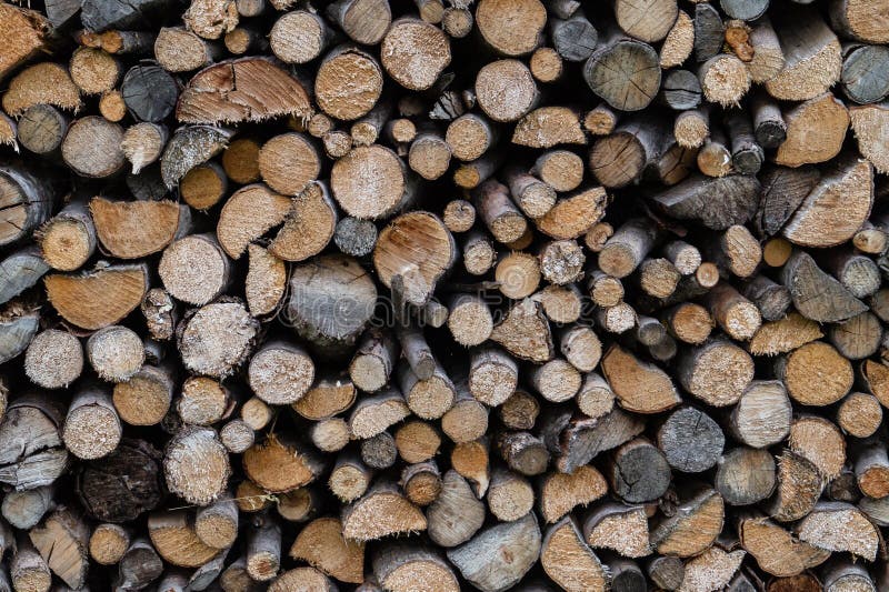 Cross Section of Many Cut Branches Stock Photo - Image of bale, sawmill ...