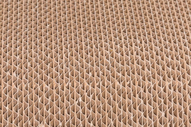 Cross Section of Multilayer Unbleached Corrugated Cardboard, Selective ...