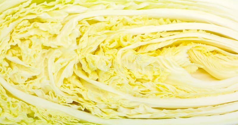Cross-section of the Peking Cabbage Stock Image - Image of nature ...