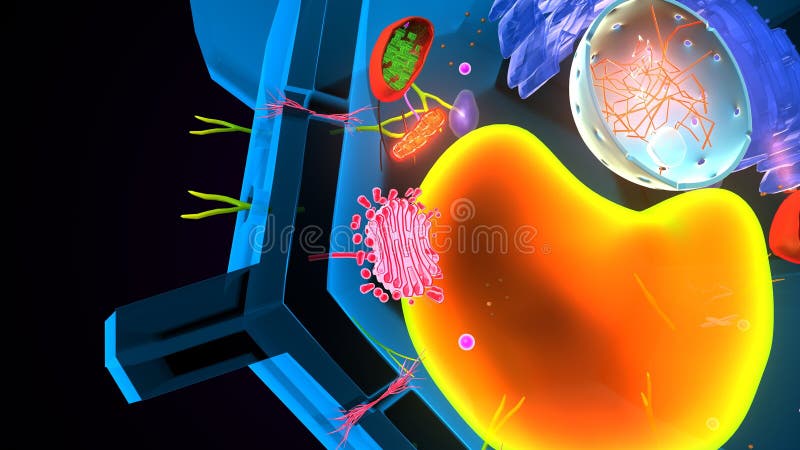 Prominent Central Highlight Stock Illustrations – 68 Prominent Central ...